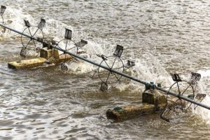 How Do You Oxygenate A Fish Pond? (4 Ways Explained)