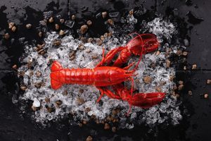 All You Need To Know About Lobster Farming (Is It Worth It?)